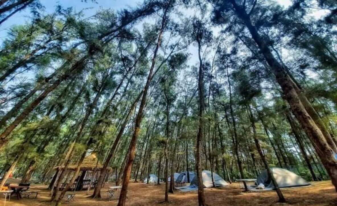 Book Bagda Sea Beach Camping At Best Price - Nature Canvas Travel