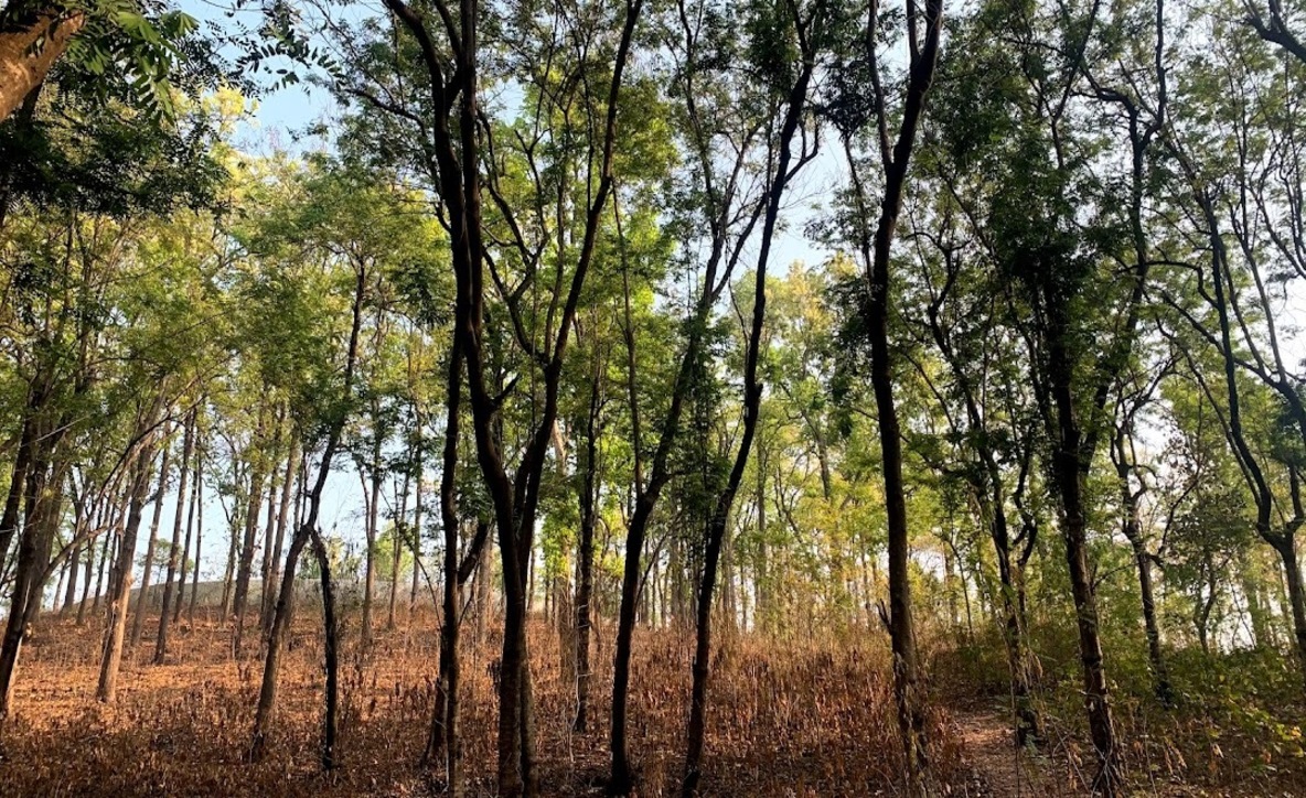 Discover the Enchanting Beauty of Ghatshila