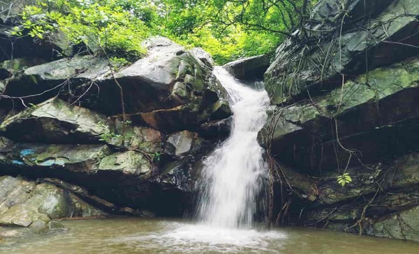 Explore Ranchi, Netarhat, and Betla: Your Perfect Tour Package for ...