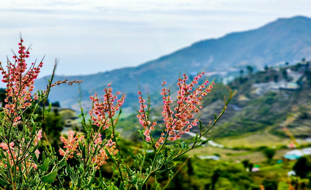 Breathtaking Places You’ll Want to Visit Next