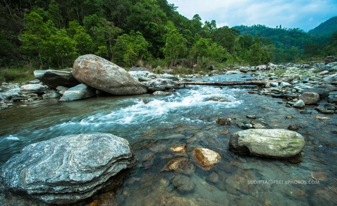 Rishikhola: A Serene Retreat in the Heart of Nature