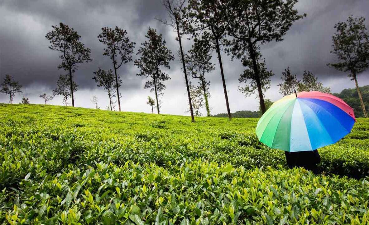 Best Places To Visit During Monsson In India