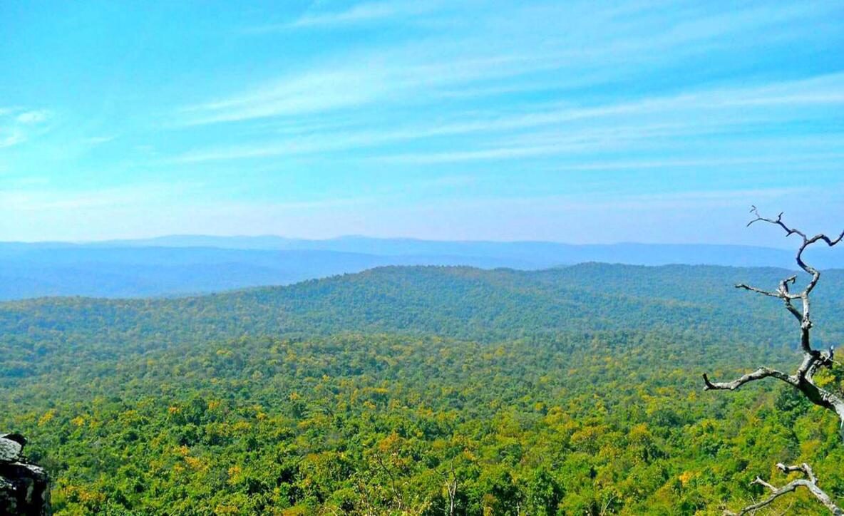 Gopalpur To Daringbadi Distance, Fare, Tour plan